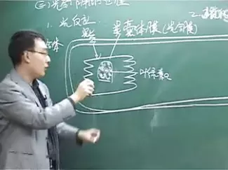 第5讲 细胞的代谢(下)1