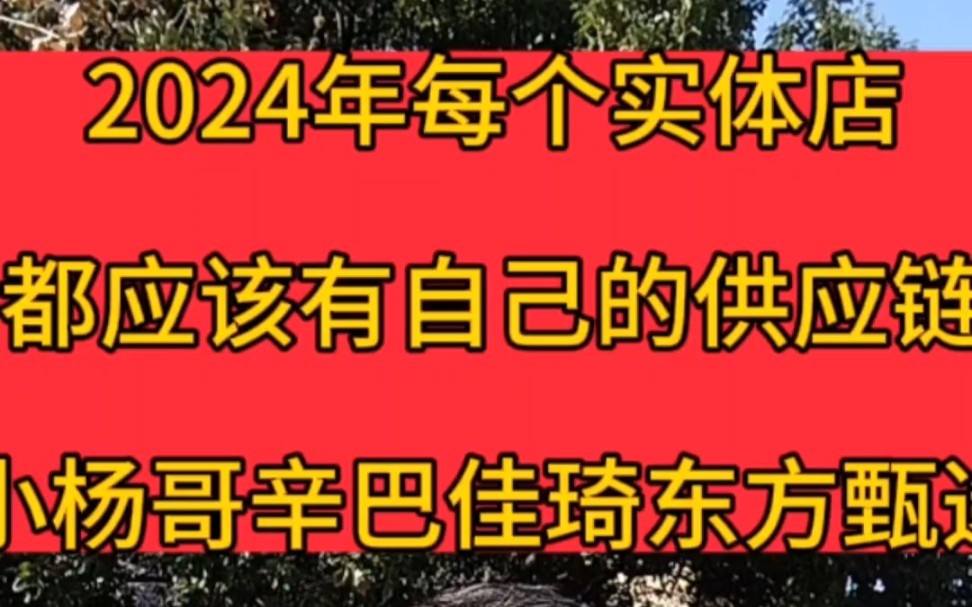 2024年,每一个实体店批发商创业者都应该有自己的供应链。张雪峰...