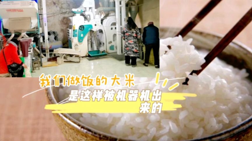稻谷变成大米,在变成餐桌上米饭,你看过吗?