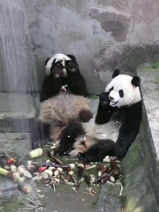 瀑布。下吃零食好安逸好开心