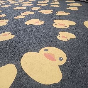 Yale在大湾区 