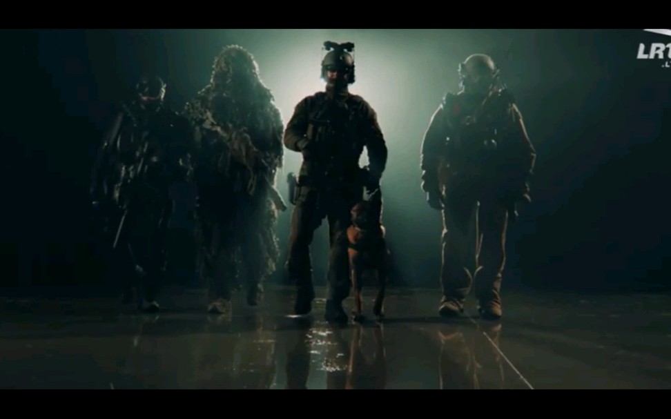 立陶宛特种部队(SOP)。