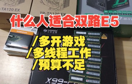 什么人适合双路E5——多开游戏/多线程用途/预算不足的!