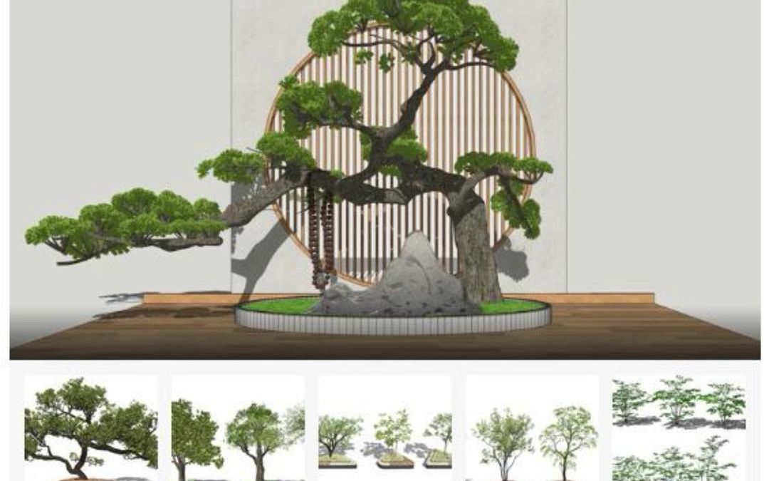 SU中式日式景观树盆景造景树,关注我领取海量设计色彩