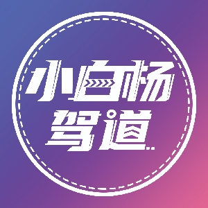 每月汽车行情 