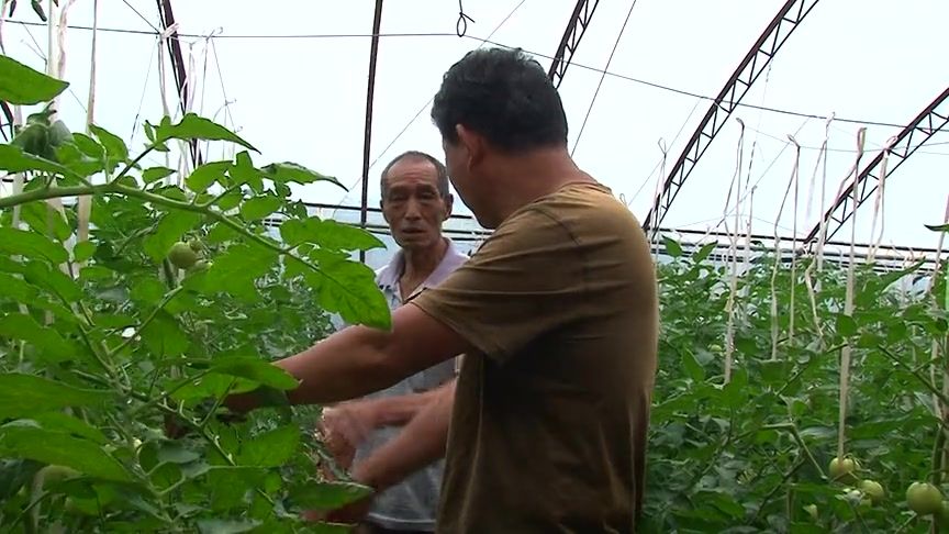 本地资讯:全国劳动模范——刘建平
