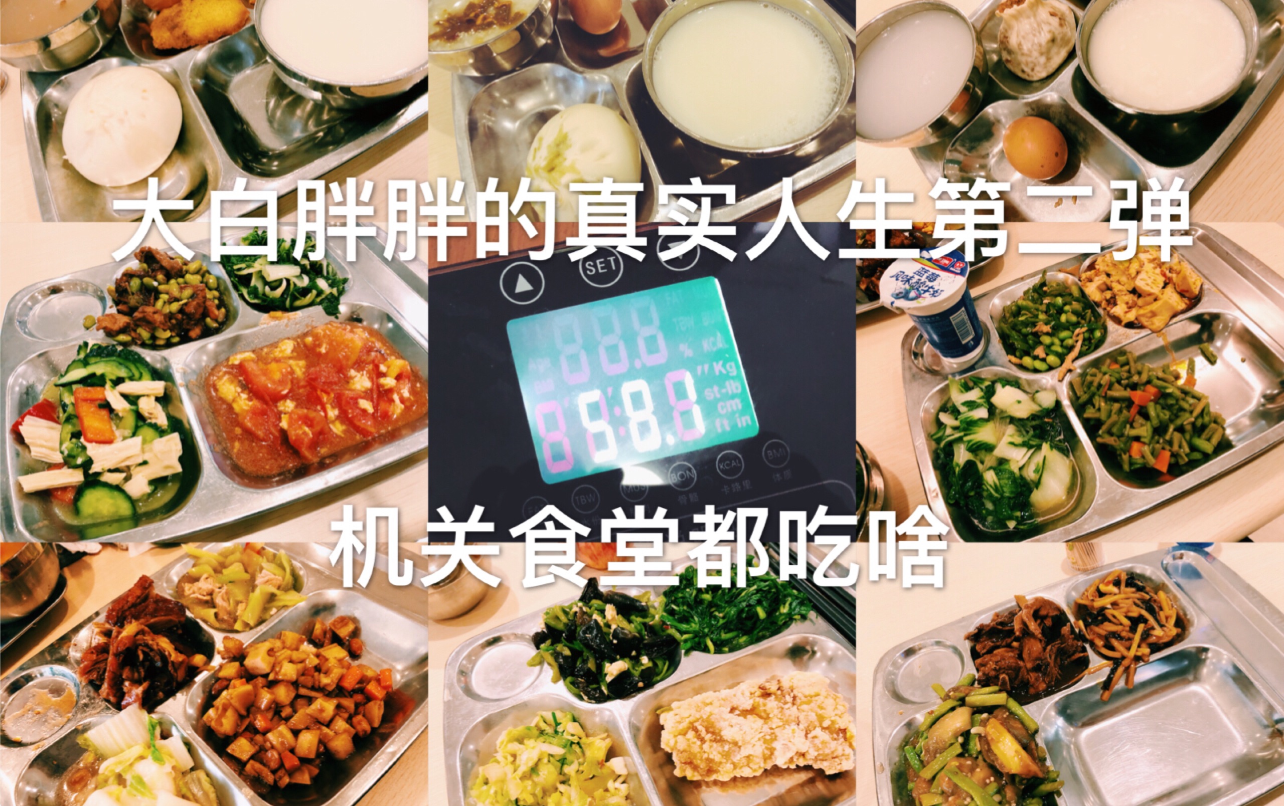 大白胖胖|政府机关食堂到底吃些什么?真实人生第二弹!