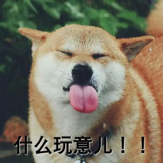 火雨苍狼 