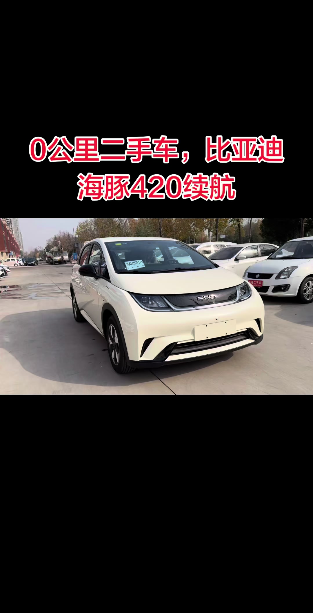 比亚迪海豚420续航#海豚 #电动车 #0公里二手车 #二手车 #热门