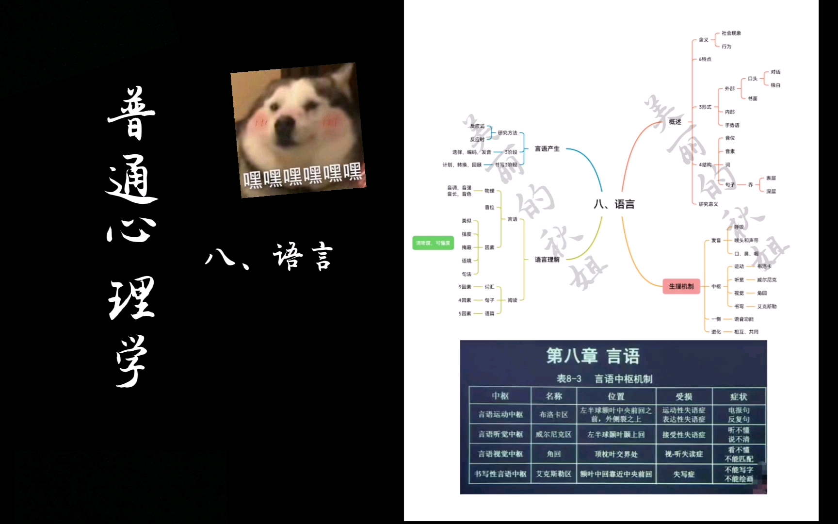 ...学》第八章、语言知识点(语言概述、生理机制、语言理解、言语产生)