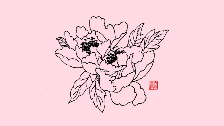 春光中牡丹花,用简单易学的方法教您画一幅牡丹线描画,收藏学习