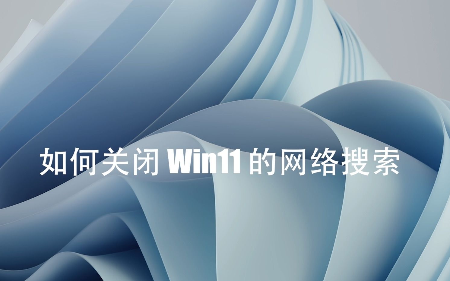 教你关闭 Win11 网络搜索