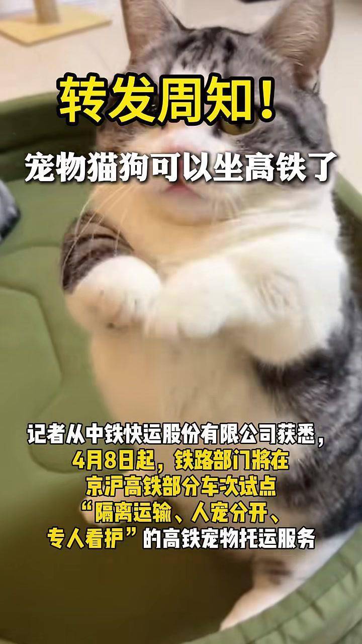 宠物猫狗可以坐高铁了#宠物托运(视频制作:新媒体方新月)
