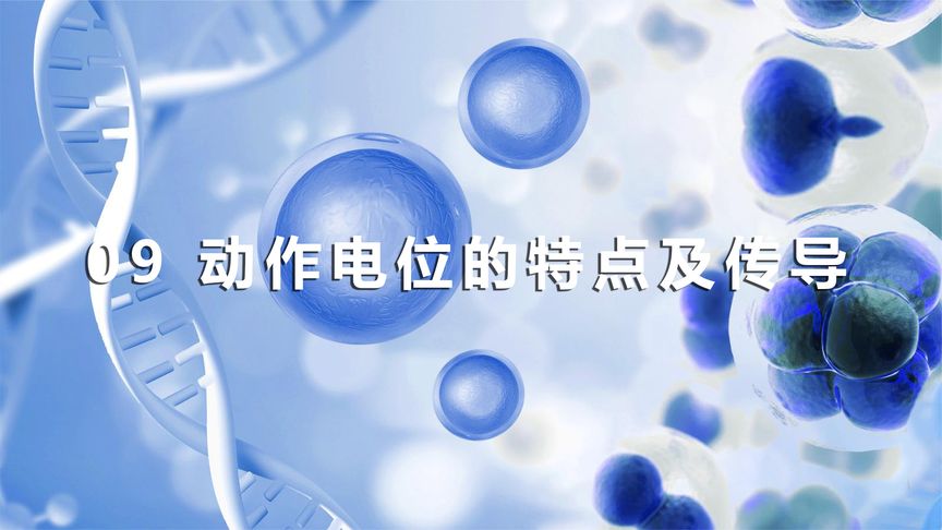 09 动作电位的特点及传导
