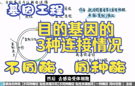 基因工程-目的基因与运载体的连接