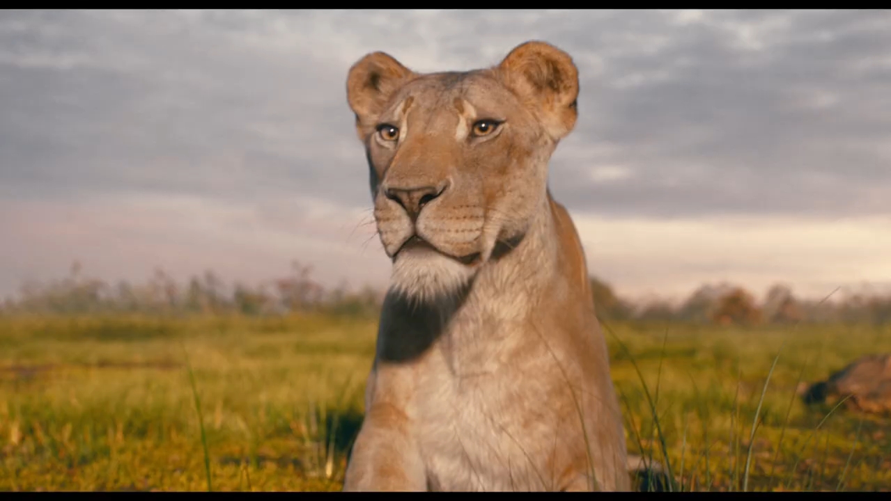 狮子王:木法沙传奇 狮子王:木法沙传奇 正式预告