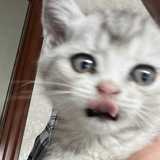 岿__ 