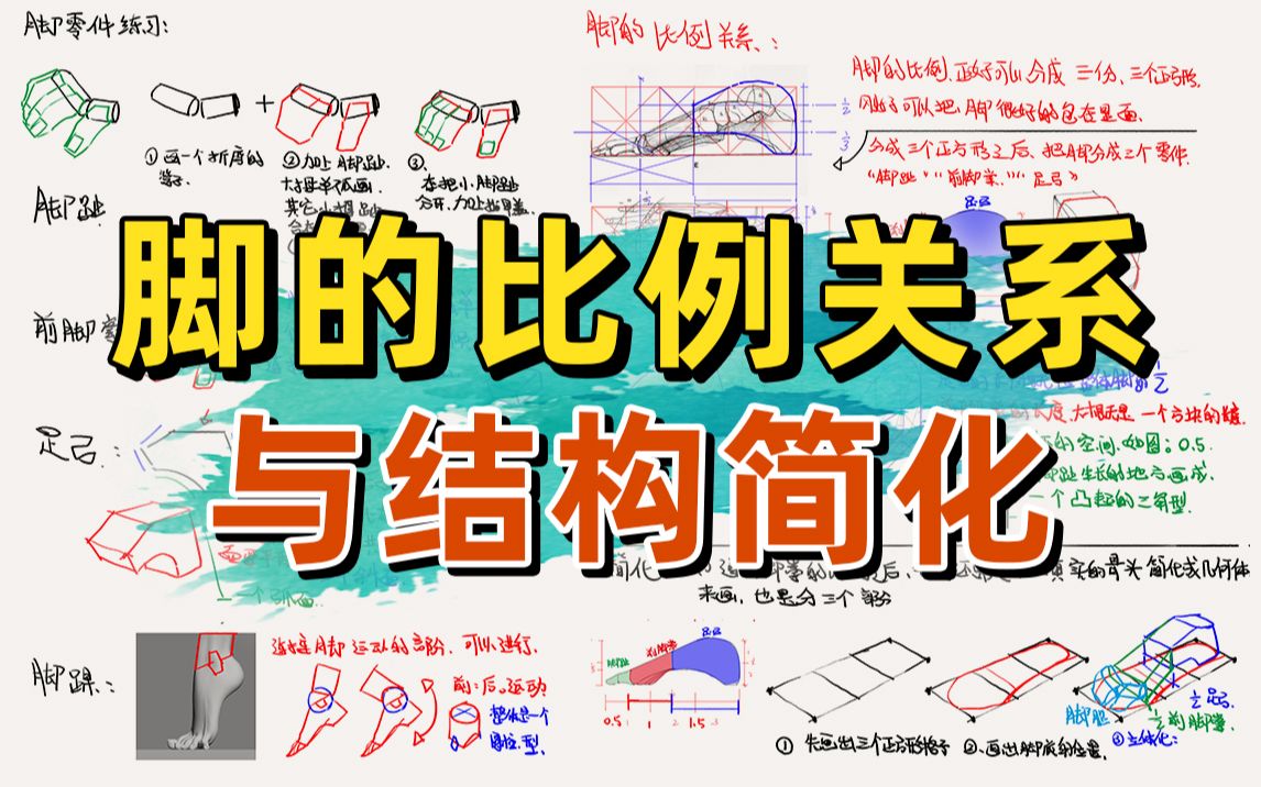 脚的比例怎么划分?如何简化脚部结构?