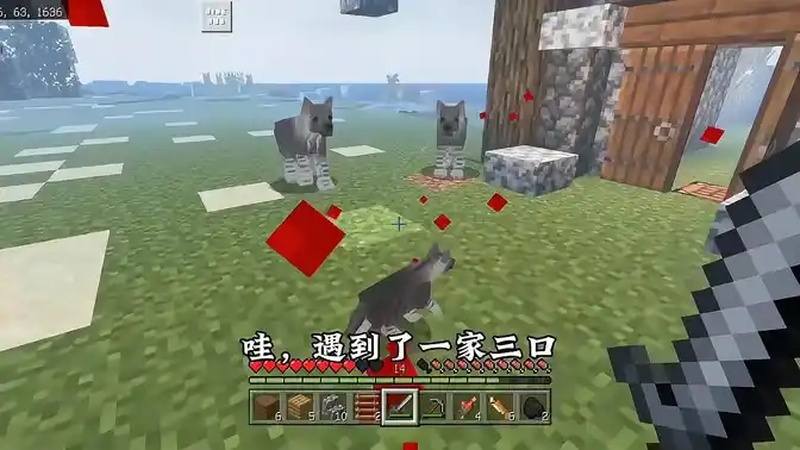 我的世界:动物世界(3)