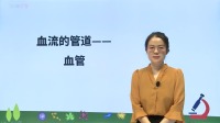 初中生物七年级下册知识点详解 第12集 血流的管道--血管
