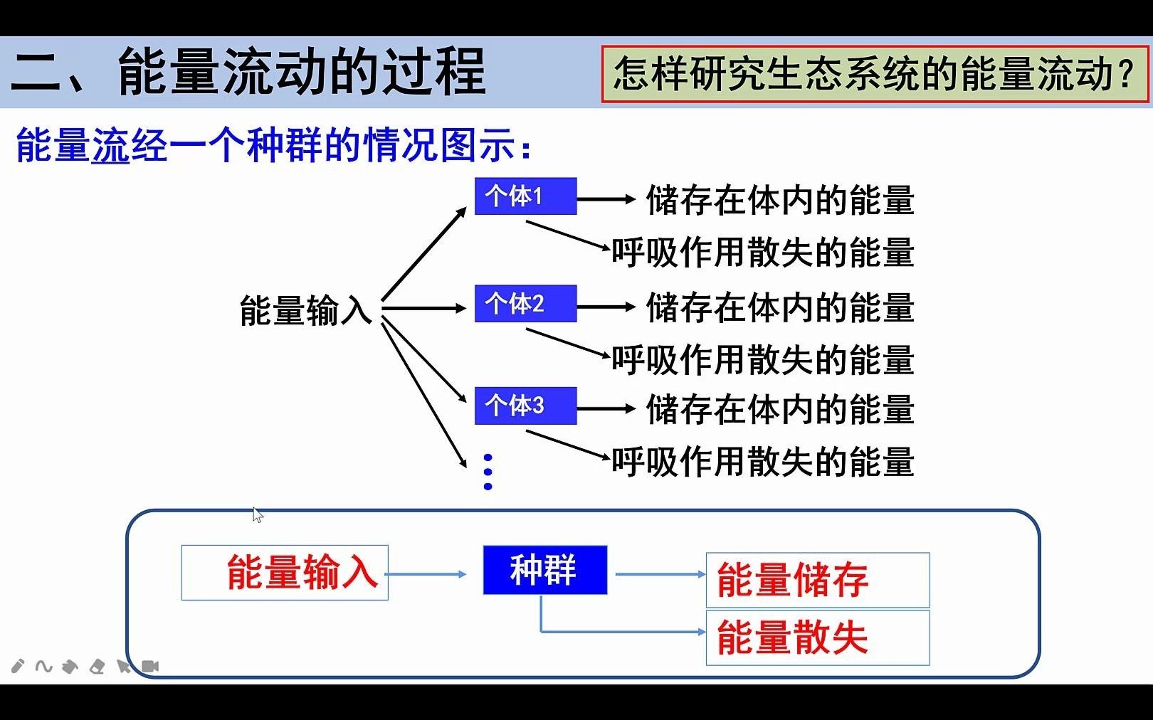 【一本正经讲生物】5.2生态系统的能量流动(1)