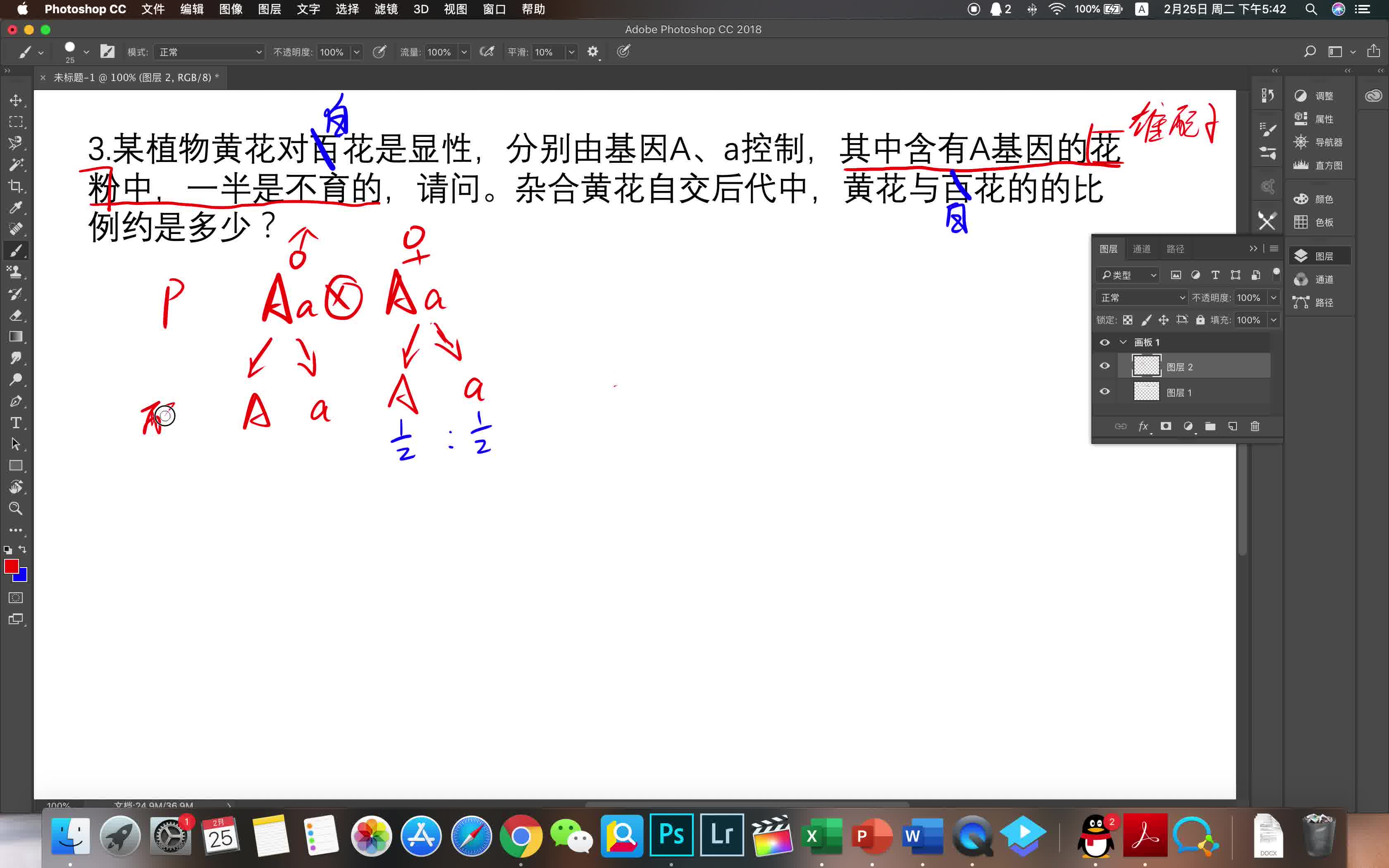 2月25日练习题讲解-分离定律花粉不育