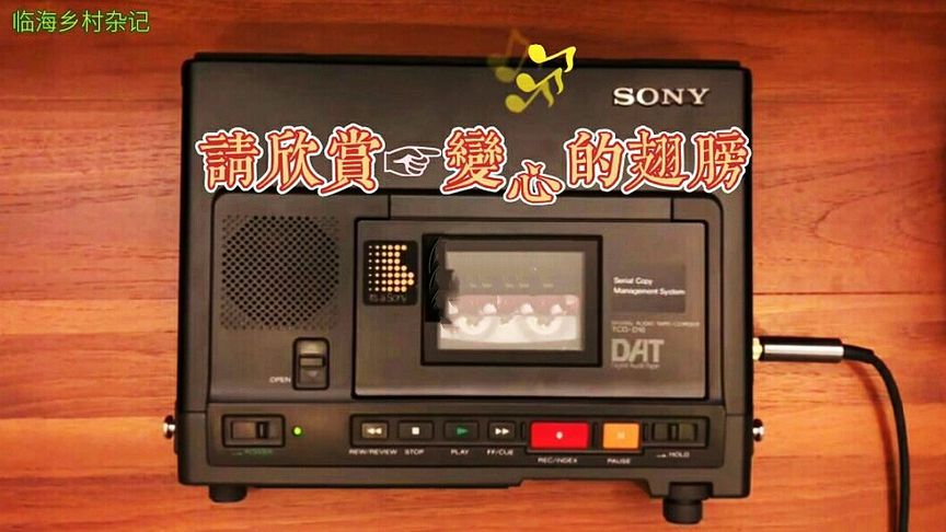索尼DAT机,真不错!音质靓!