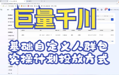巨量千川 基础自定义人群包dmp实操计划投放方式 干货满满 拒绝镰刀 ...