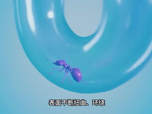 蚂蚁在克莱因瓶上无限循环?揭秘四维空间中的诡异爬行!