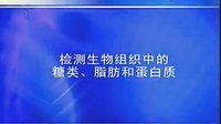 检测生物组中的糖类、脂肪和蛋白质实验