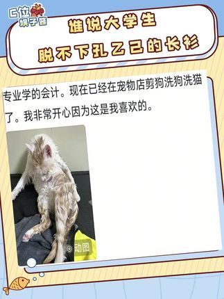 谁说大学生脱不下孔乙己的长衫#大学生#大学生就业现状#工作#工作...