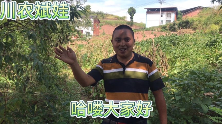 达州:养殖千万户,鱼塘来帮助,看看这个鱼塘怎么养殖的