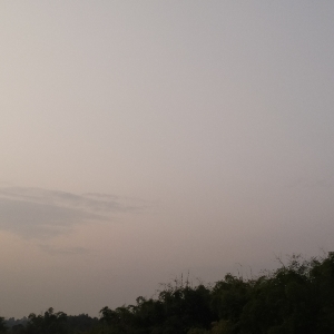 馨香绝茗 