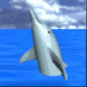 蓝色音乐海豚 