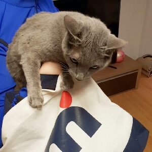 小小琦叻 