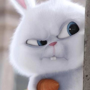 小强扭的瓜倍甜 