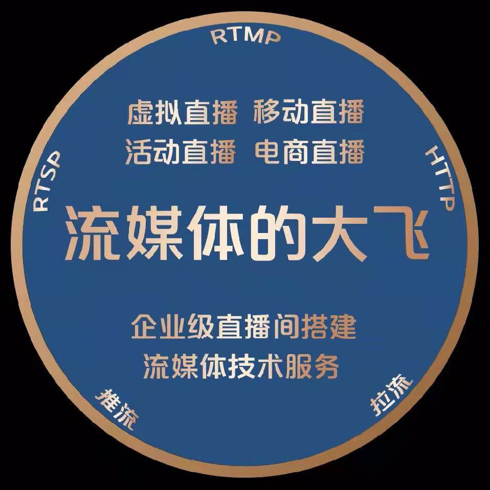 流媒体的大飞 