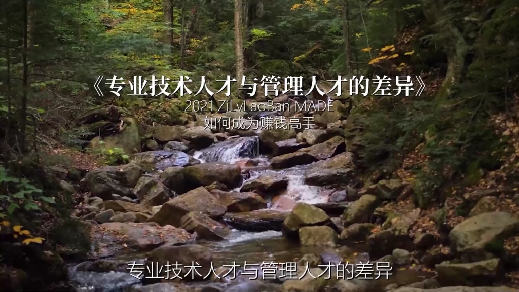 宋松仁:专业技术人才和管理人才的差异