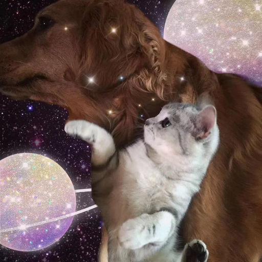 马格纳斯的犄角光辉 