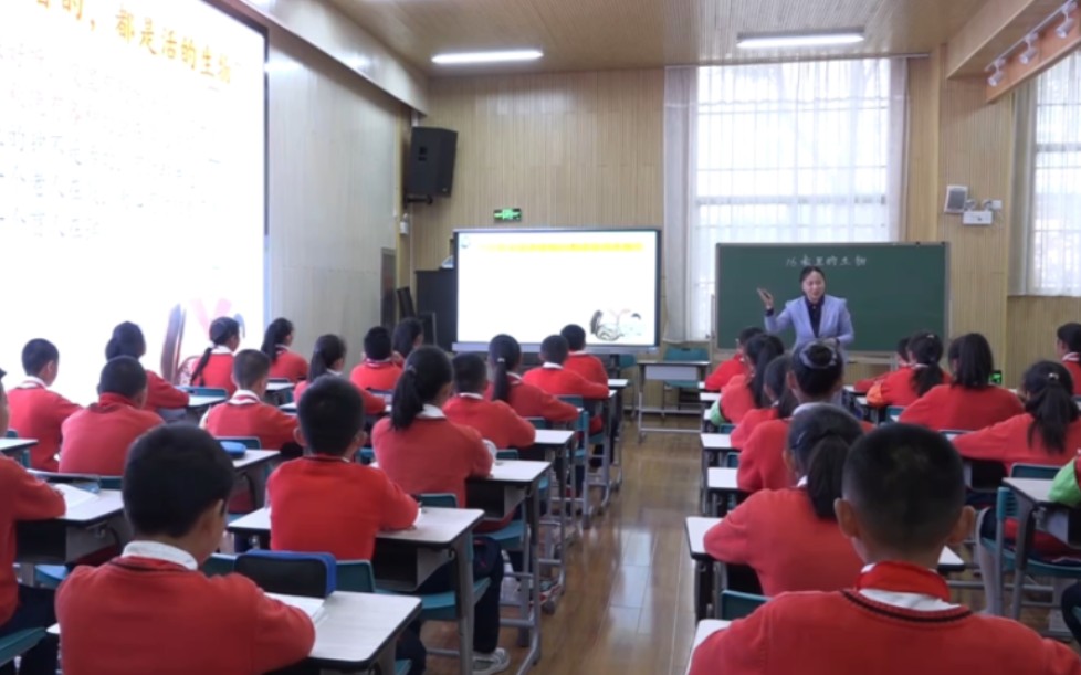 《表里的生物》公开课【全国大赛】陶芸