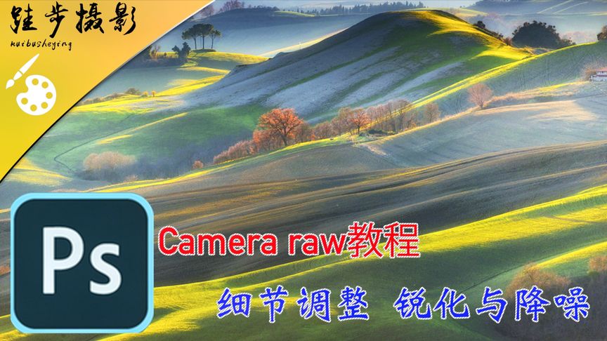 10.Camera raw教程 细节调整 锐化与降噪 Acr教程