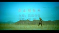 高山槐花开 凤凰传奇