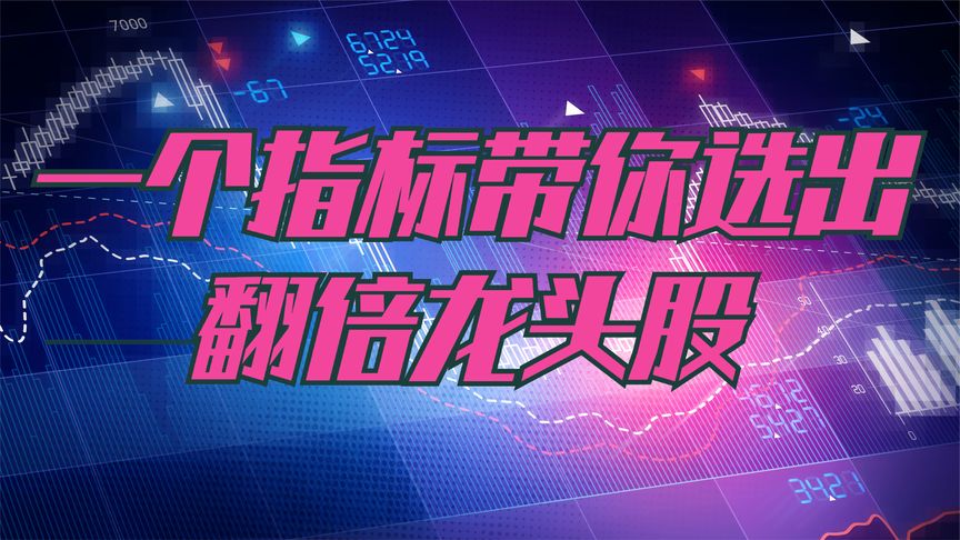 一个指标带你选出翻倍龙头股 -- ROE