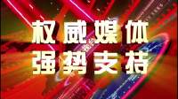 中伟文件柜办公柜矮柜钢制铁皮柜资料柜档案柜拆装玻璃对开矮柜黑色...
