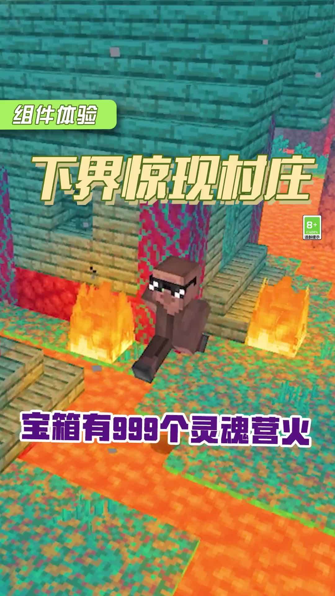 #我的世界 下界惊现超大村庄!房子里还有99999个宝箱?
