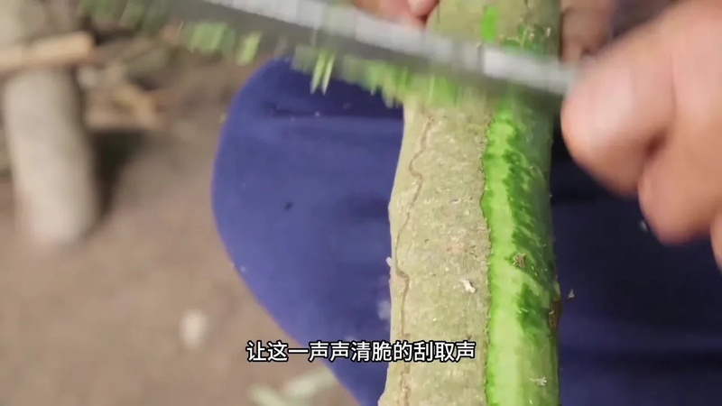 树皮制作 不起眼的树皮,却拥有着让越南人围着它转的本领