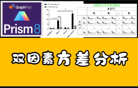 GraphPad/Prism绘图软件的使用(医学科研)-双因素方差分析/双因素...