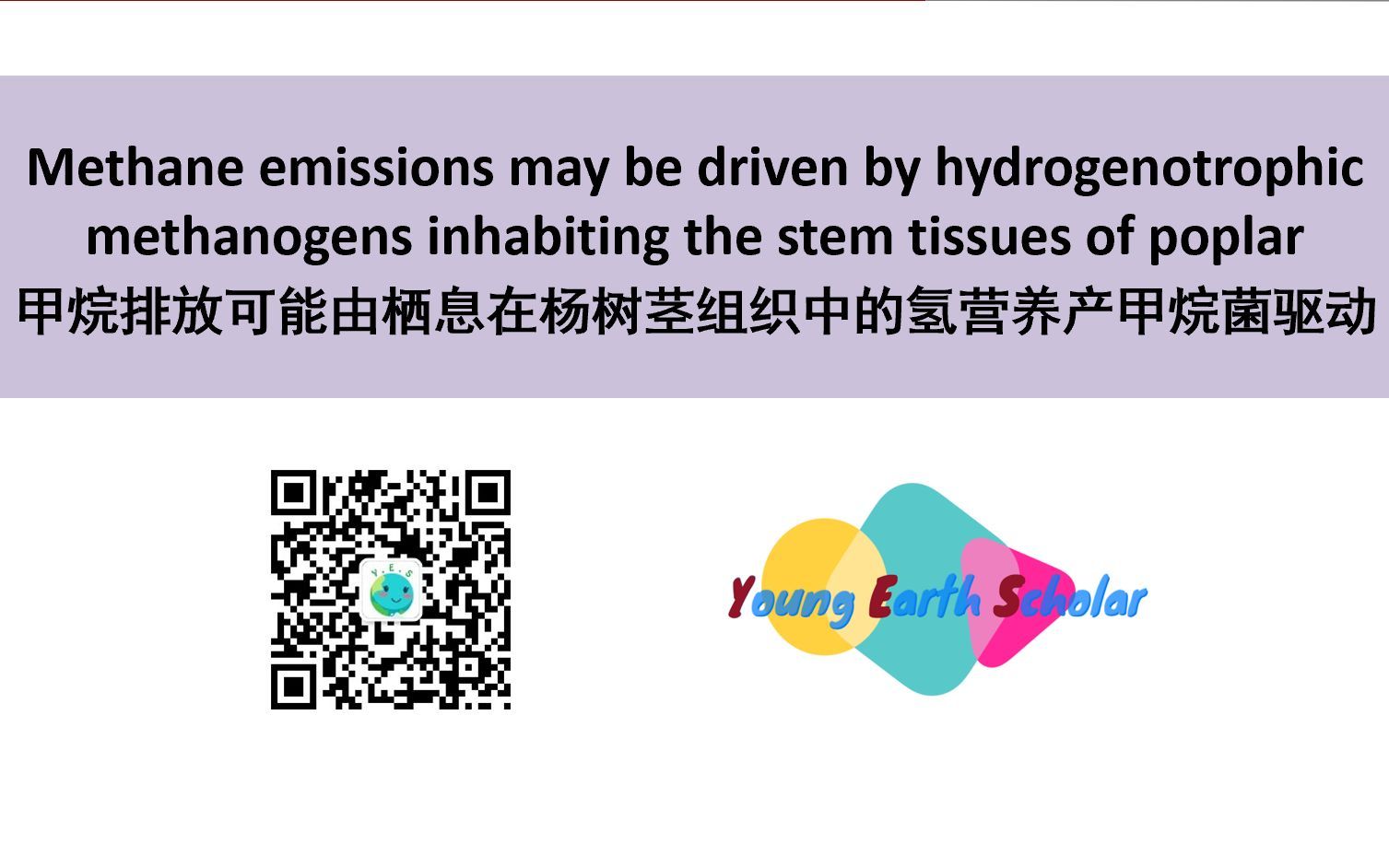 【New Phytologist】甲烷排放可能由栖息在杨树茎组织中的氢营养产...