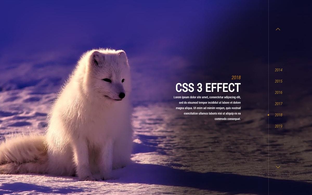 ...+【HTML+CSS】html and css3 js 制作垂直时间线设计点击切换照片...