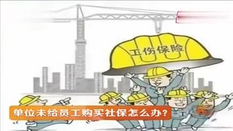 ./b>后单位一直没给员工购买社会保险.